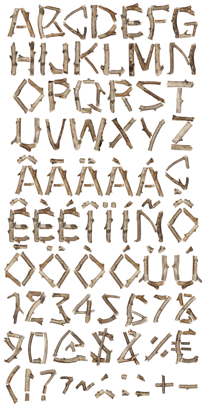 Dry Twigs Font - Alphabet of nature | Handmadefont.com