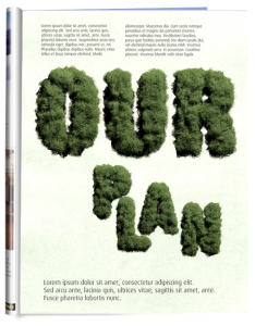 Moss Font - Natural OpenType Typeface | Handmadefont.com