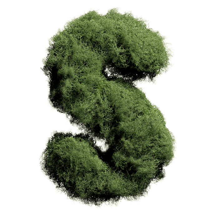 Moss Font - Natural OpenType Typeface | Handmadefont.com