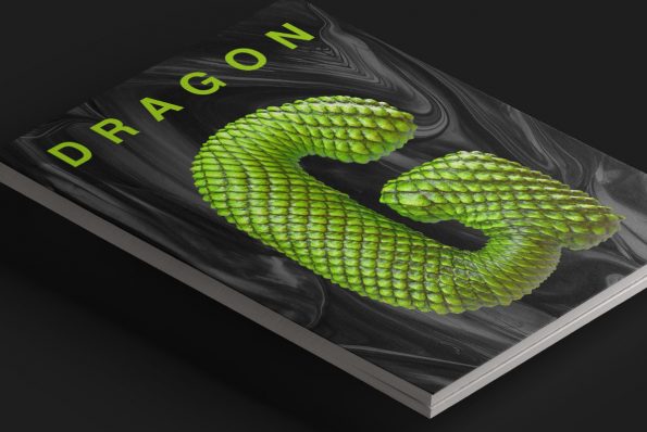 Dragon Skin Font - Powerful OpenType Typeface | Handmadefont.com