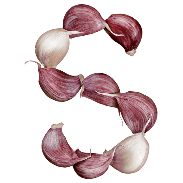 Buy Garlic Font To Dress Designs And Scare Vampires Off