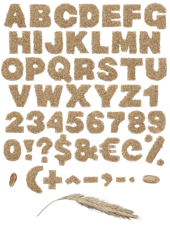 Rye Seeds Font - Handmadefont