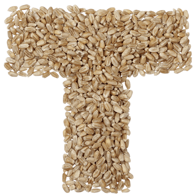 Rye Seeds Font - Handmadefont