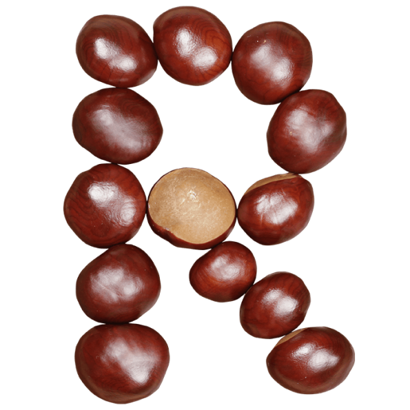 Chestnut Font - Handmadefont