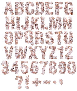 Shells Font - Handmadefont
