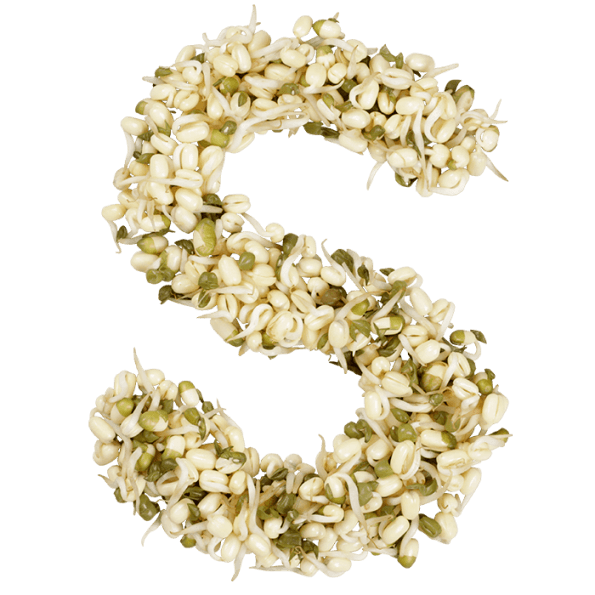 Buy Sprouts Font, Organic Green Typeface From Vegetable Sprouts