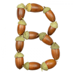 Buy Acorn Font To Grow Design Dreams Into Mighty Reality