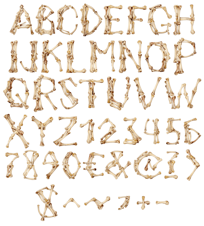 Bones Font - OpenType Typeface | Handmadefont.com