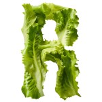 Salad Font - Fresh Green alphabet | Handmadefont.com